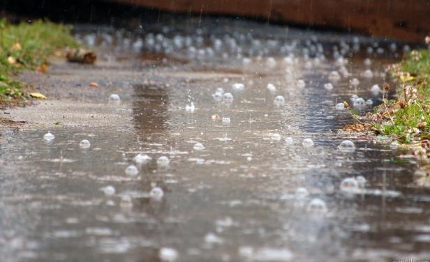 Petricor, el olor de la lluvia que nos gusta tanto :: Canal Verte