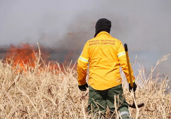 El humo del fuego en el Delta llegó a la región :: Canal Verte