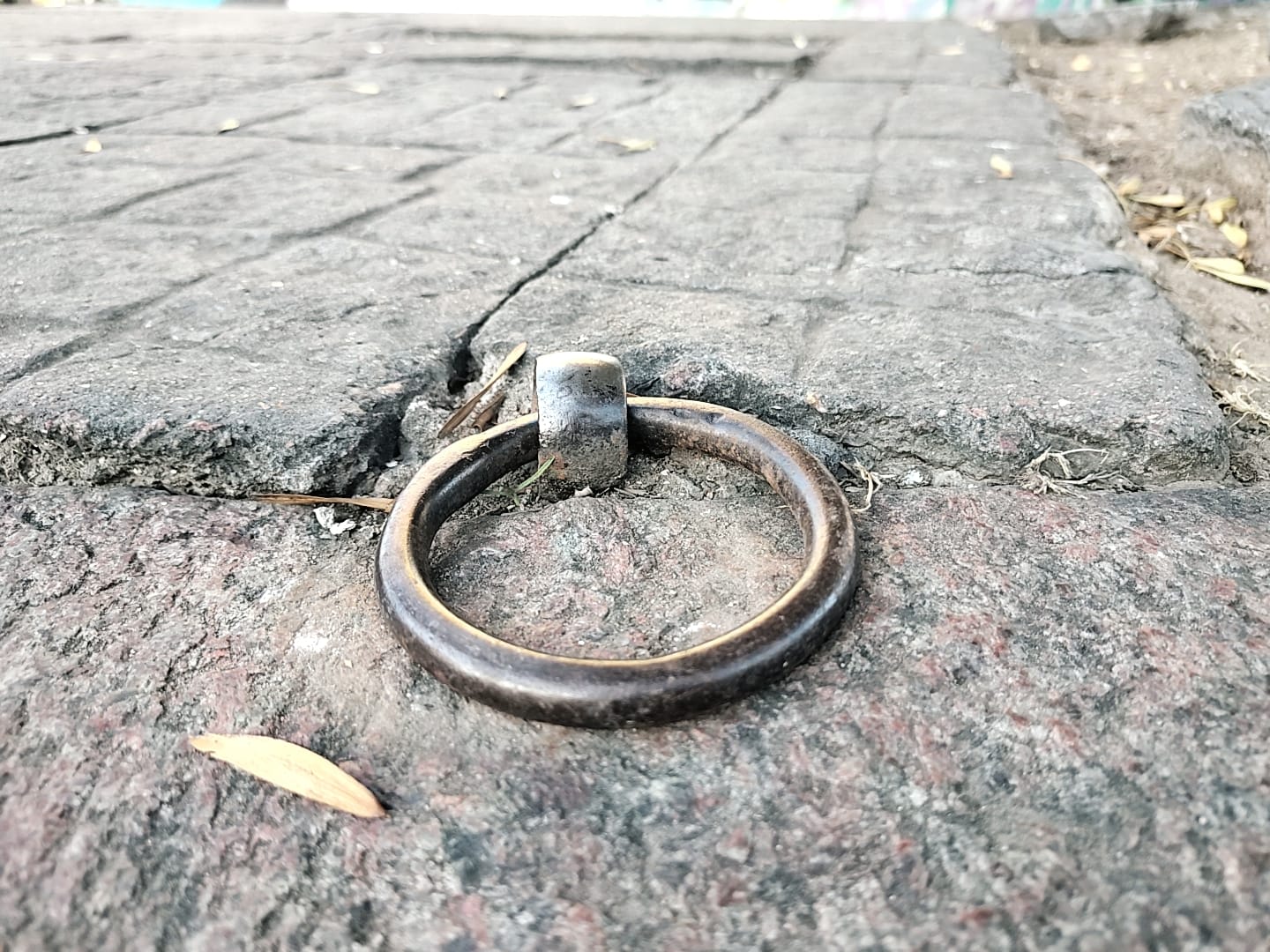 Piden que las argollas de la ciudad se sumen al patrimonio histórico ...