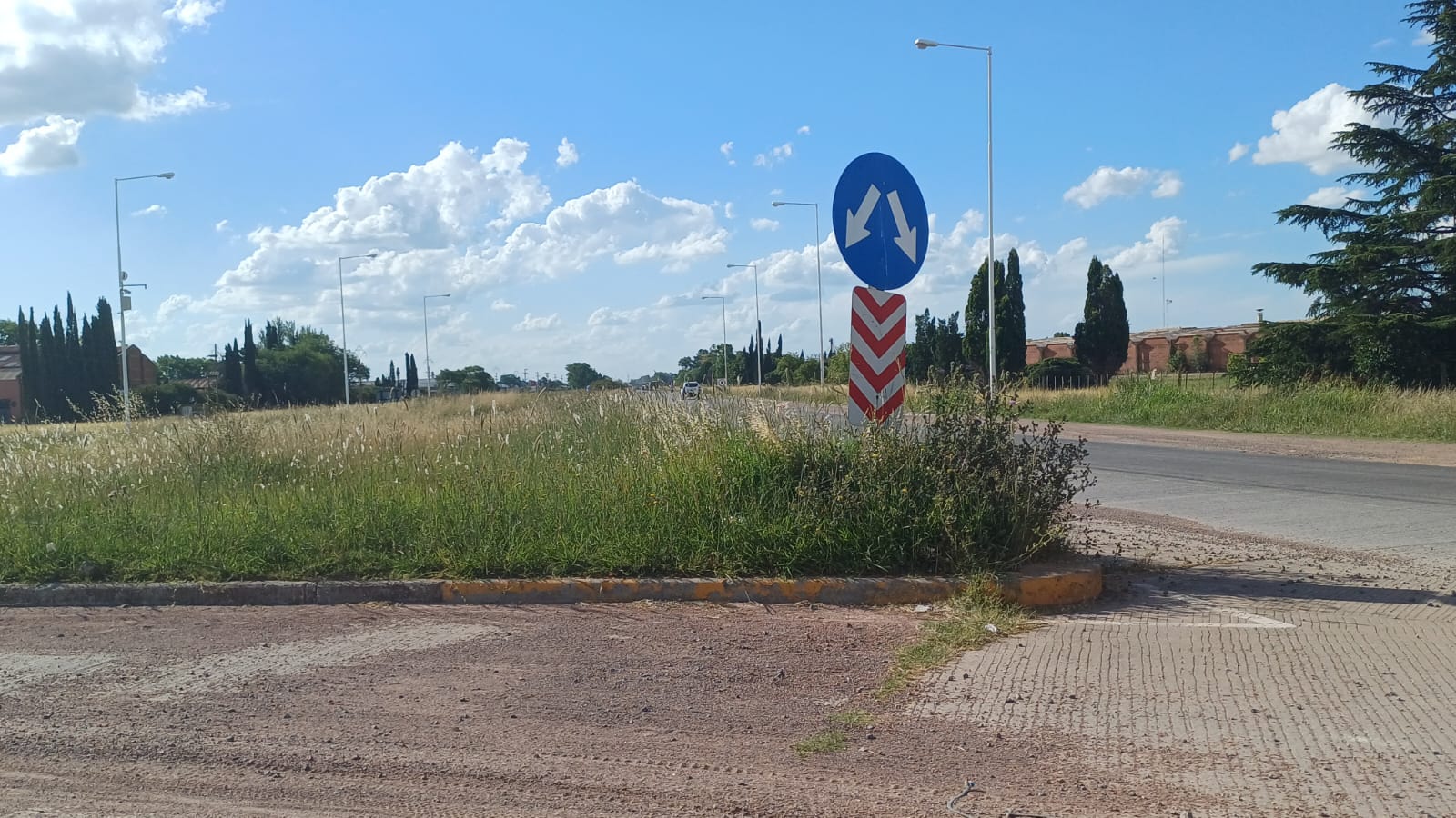 Ruta 226: quejas por el estado de los pastizales :: Canal Verte
