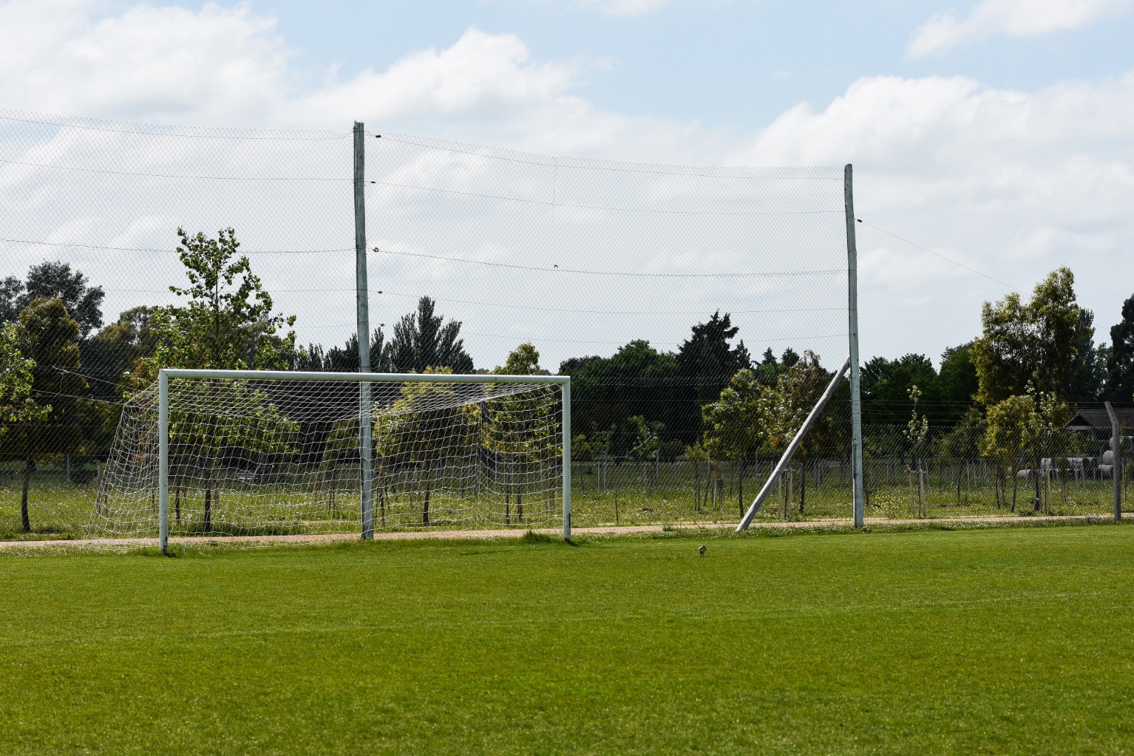 Municipales jugará de local en su propia cancha :: Canal Verte