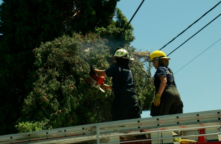 Bomberos realizó 112 salidas durante octubre :: Canal Verte