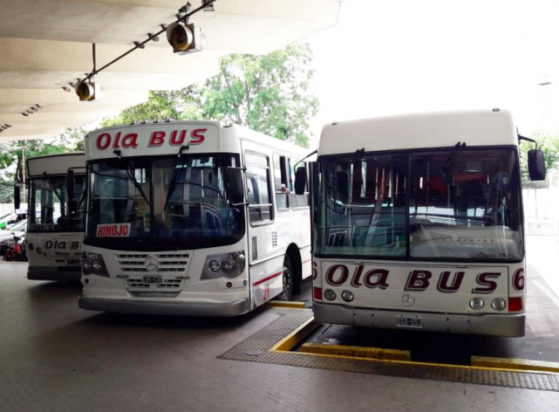 Choferes de Ola Bus desmienten la denuncia por suspensiones :: Canal Verte