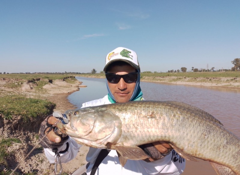 Primer relevamiento de tarucha de la temporada :: Canal Verte